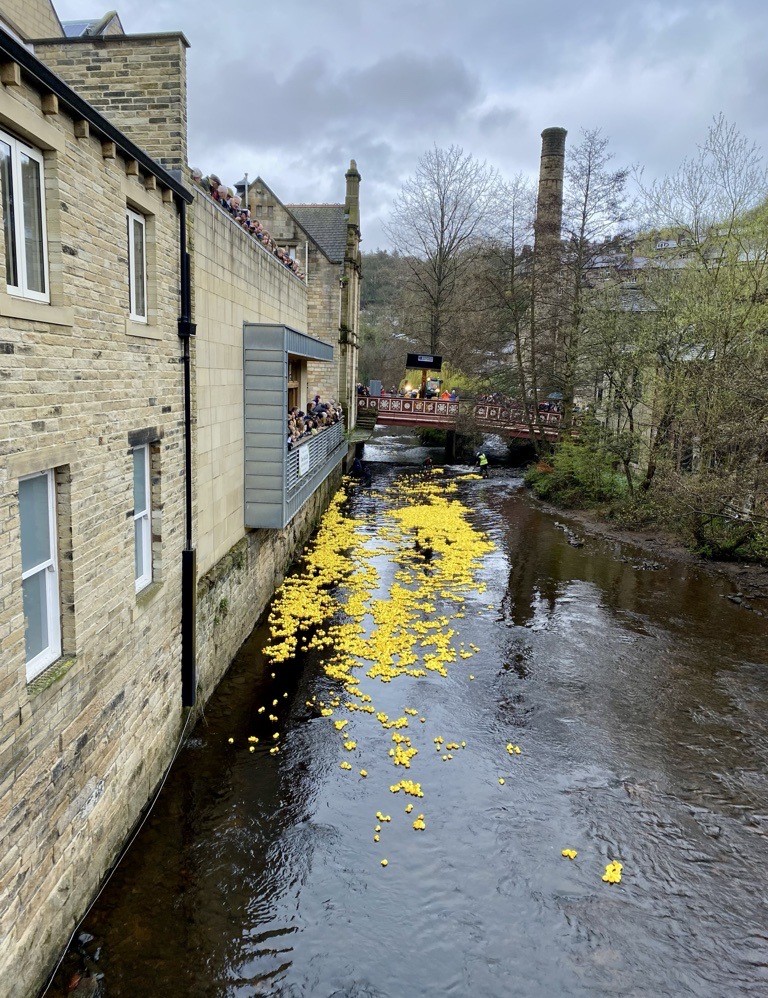 2025 Hebden Bridge Business Duck Race - HTC Architects